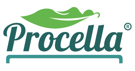 TSM Bandung - Procella